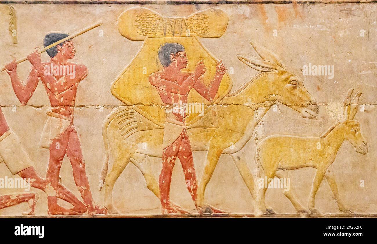Egypt, Saqqara, tomb of Ty, agriculture : Put and maintain a big cereal ...