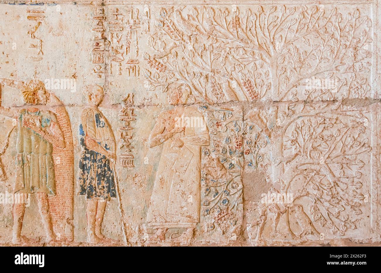 Egypt, Tuna el Gebel, tomb of Petosiris : Petosiris, under a big tree ...