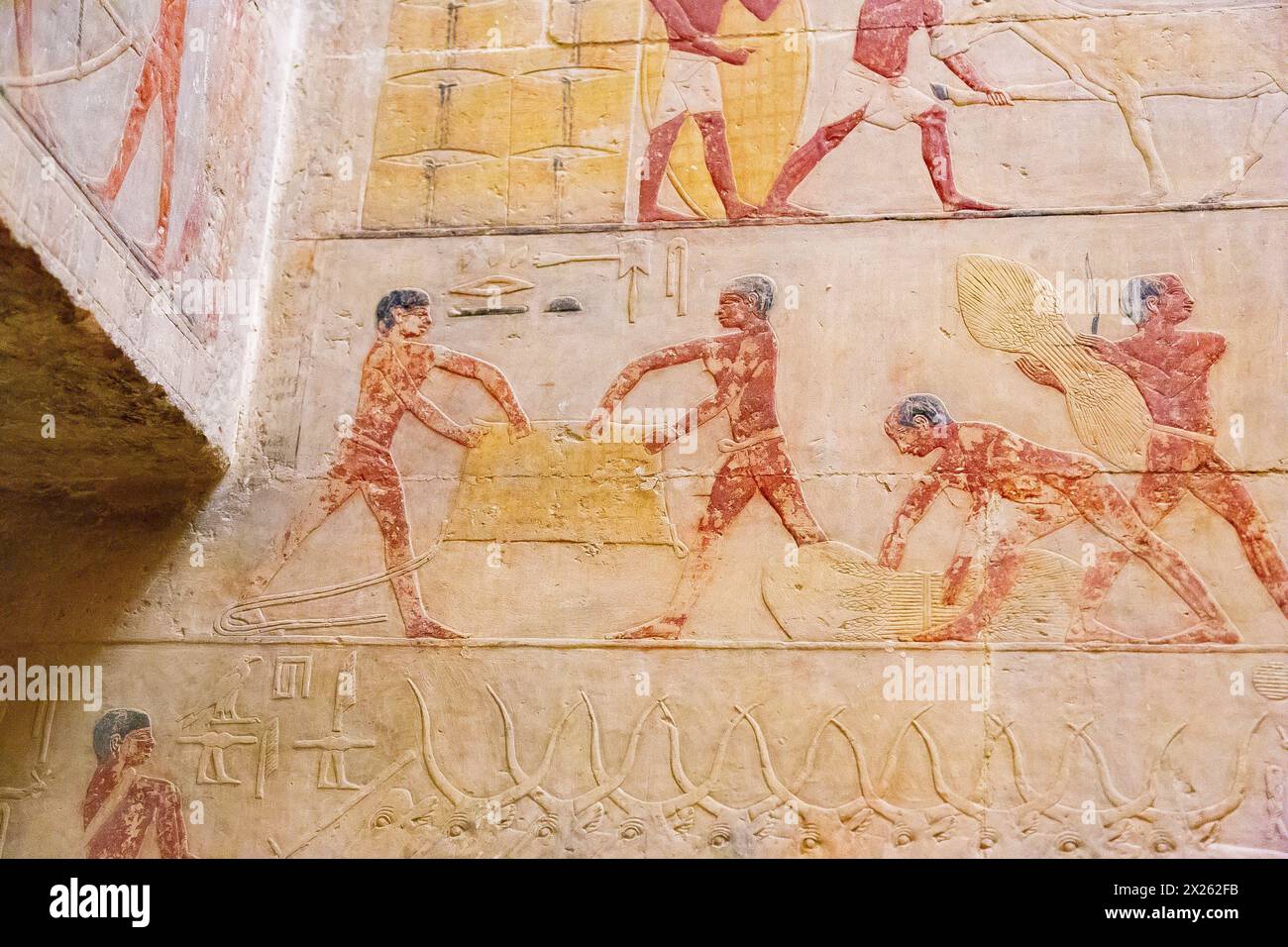 Egypt, Saqqara, tomb of Ty, agriculture : Shake the cereal bag, and put ...