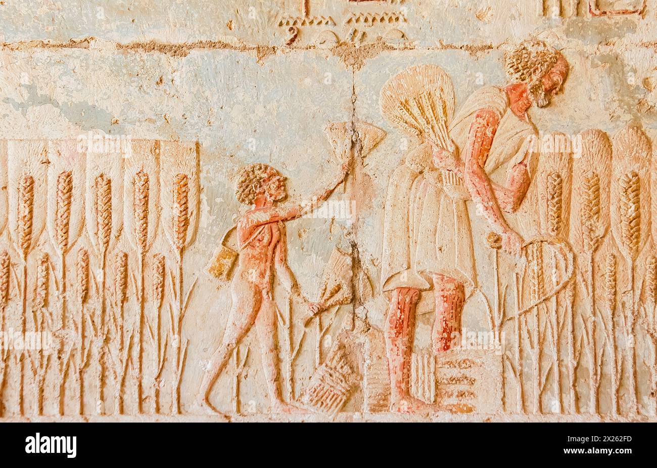 Egypt, Tuna el Gebel, tomb of Petosiris, harvest Stock Photo - Alamy