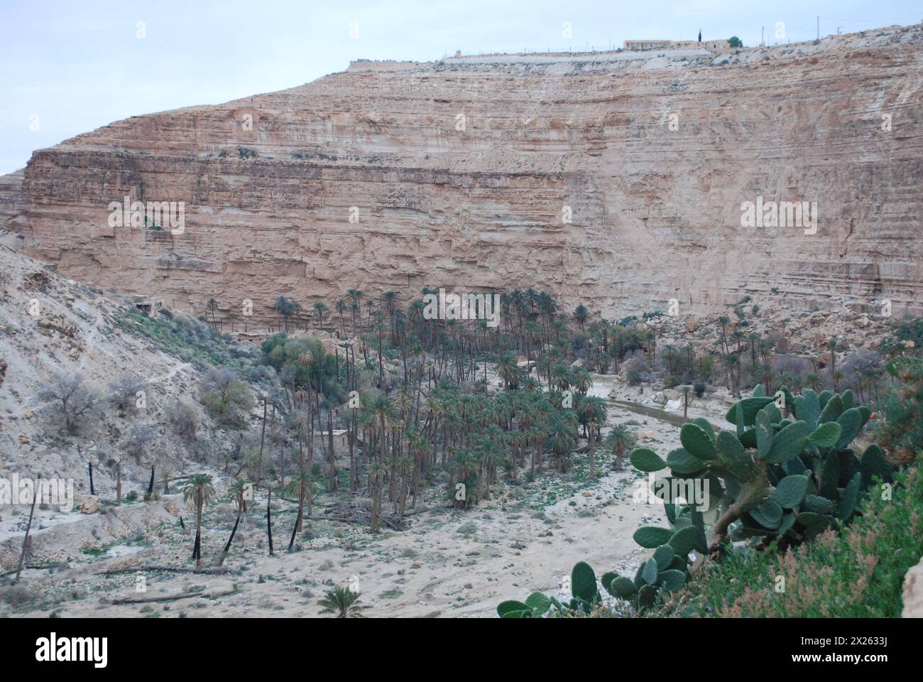 The Ghoufi Canyon, Algeria Stock Photo - Alamy
