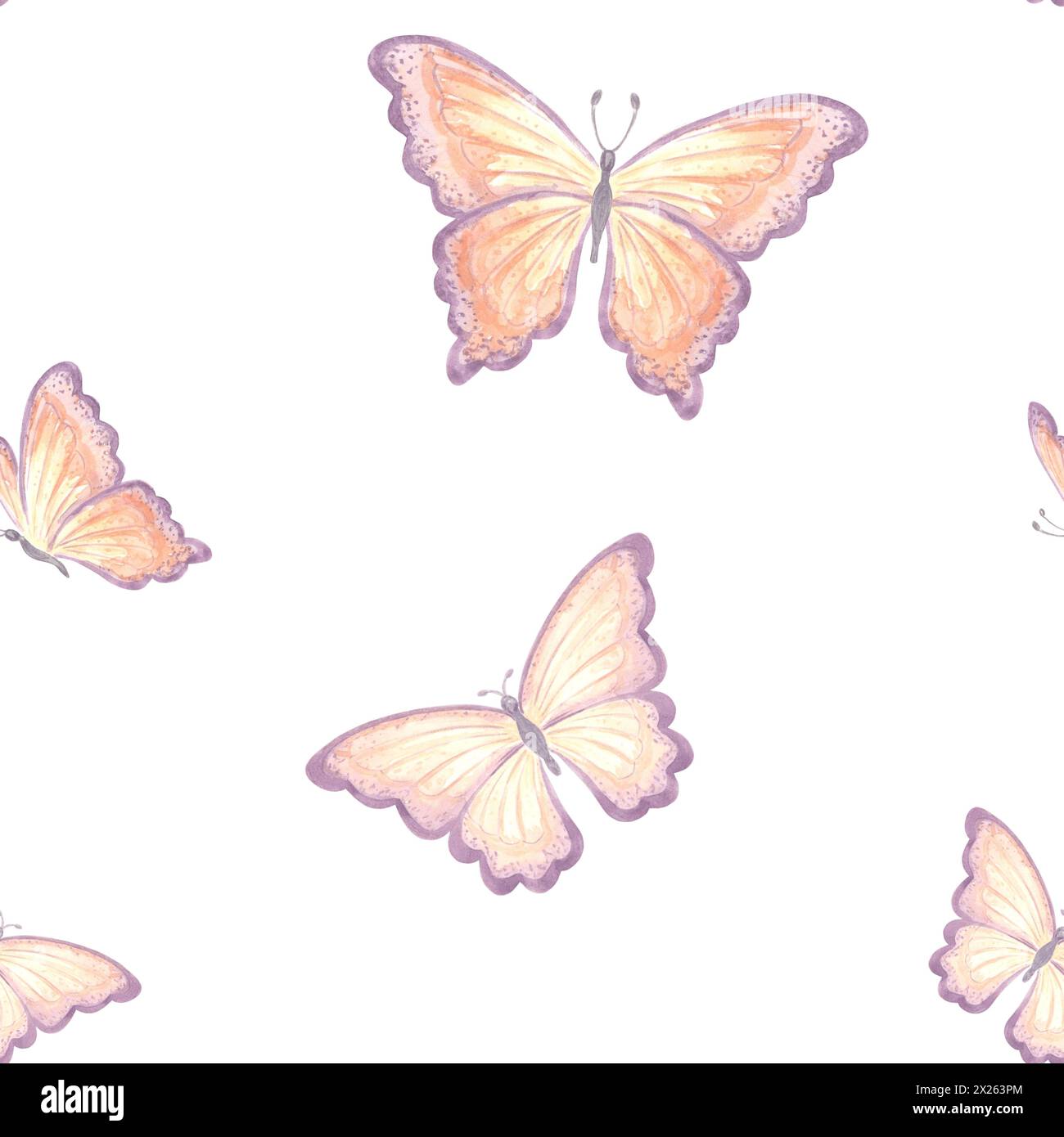 Wedding invitation animals hi-res stock photography and images - Alamy