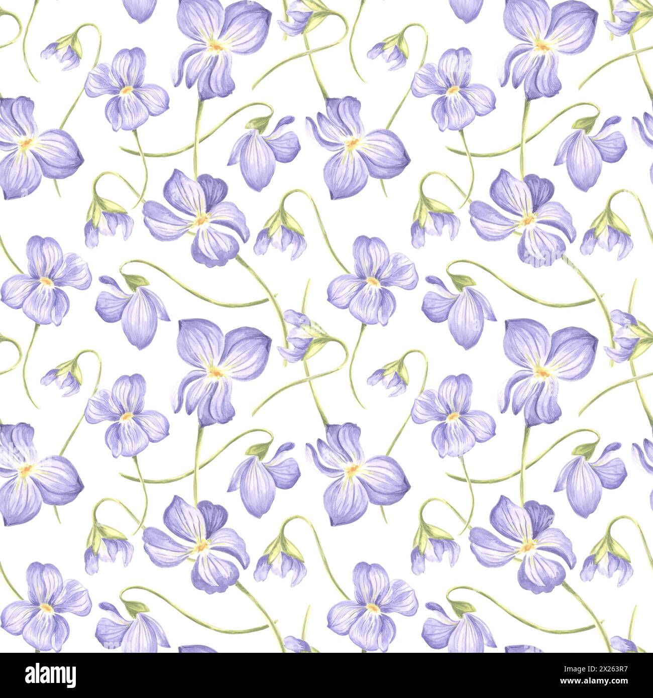 Flowers Violet Seamless pattern. Watercolor garden pansy. Hand drawn ...