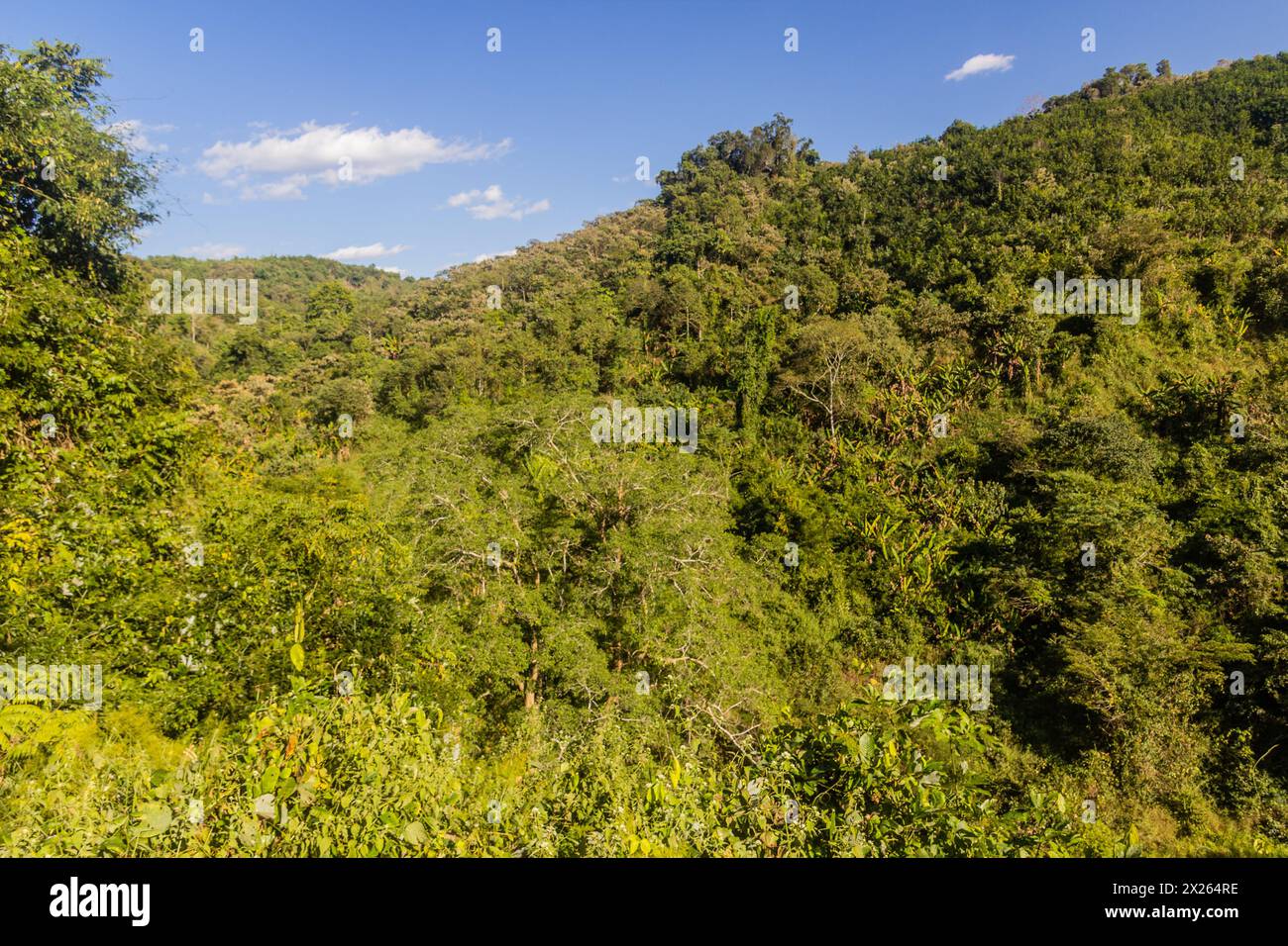 Nam ha national protected area hi-res stock photography and images - Alamy