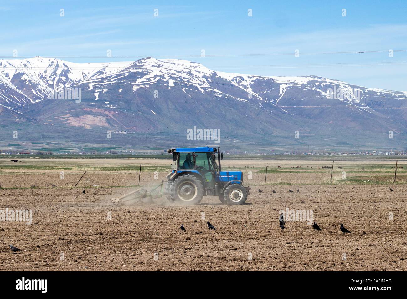 Farming: a powerful tractor tills the earth, readying the soil for a ...