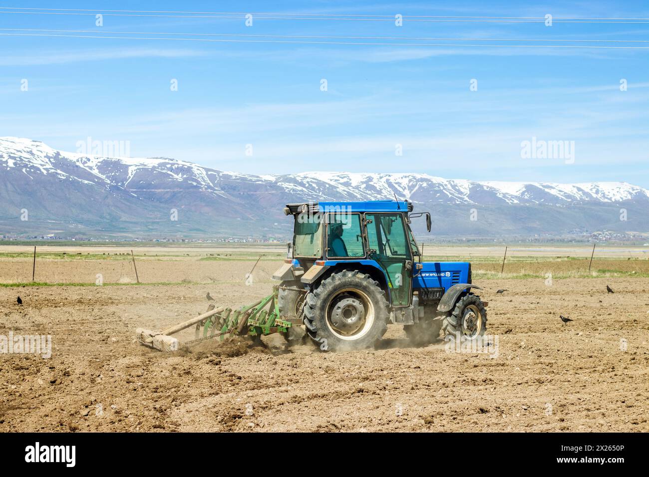 Farming: a powerful tractor tills the earth, readying the soil for a ...