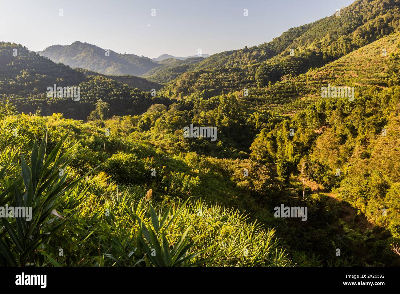 Landscape of Nam Ha National Protected Area, Laos Stock Photo - Alamy