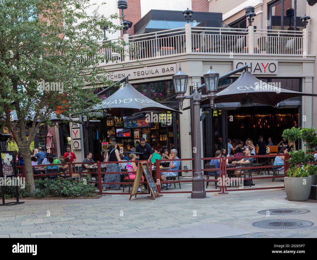 Las Vegas, Nevada. Chayo Mexican Kitchen and Tequila Bar, The Linq ...