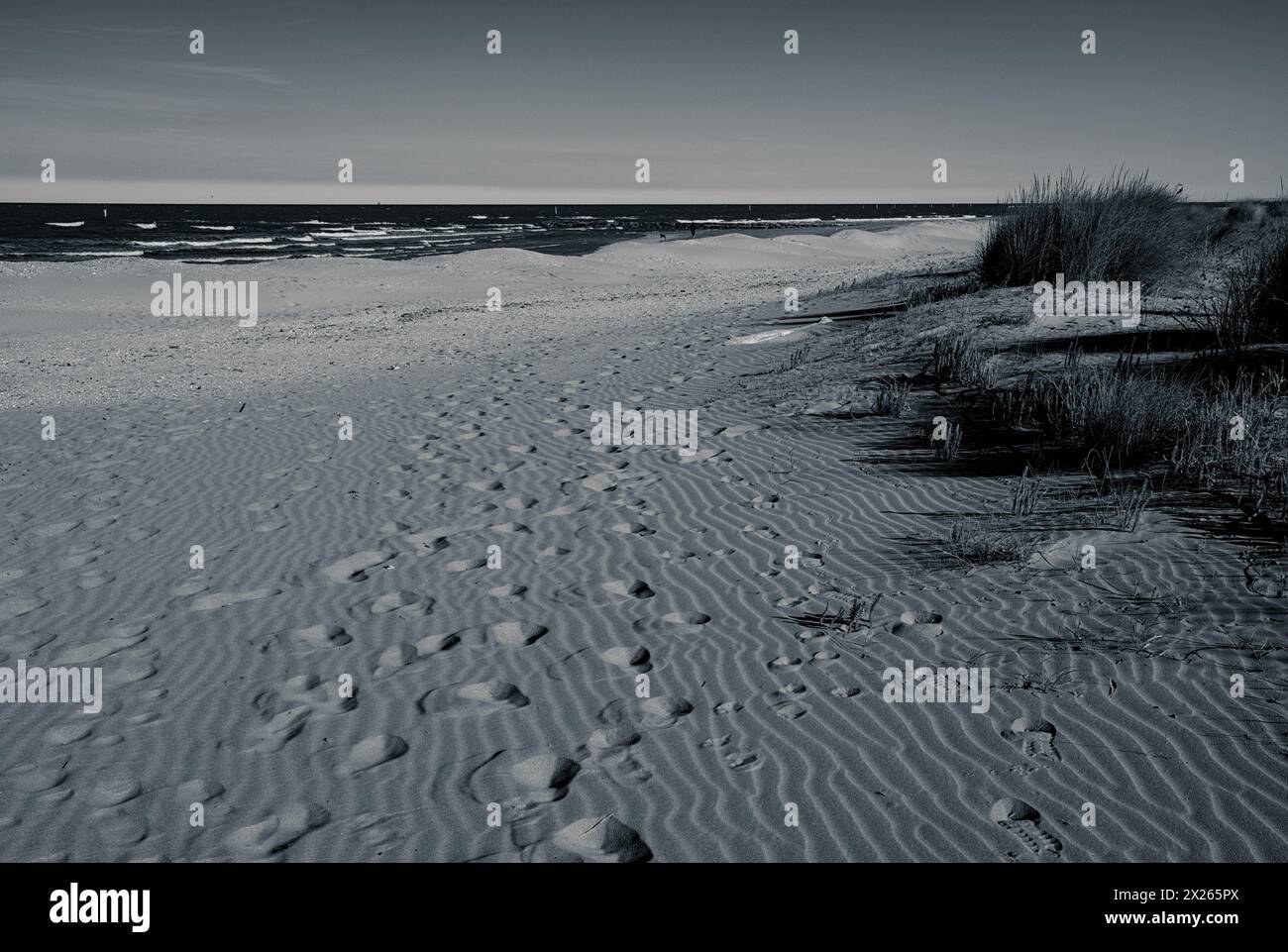 A symphony of footprints adorns the sand, each imprint a silent ...