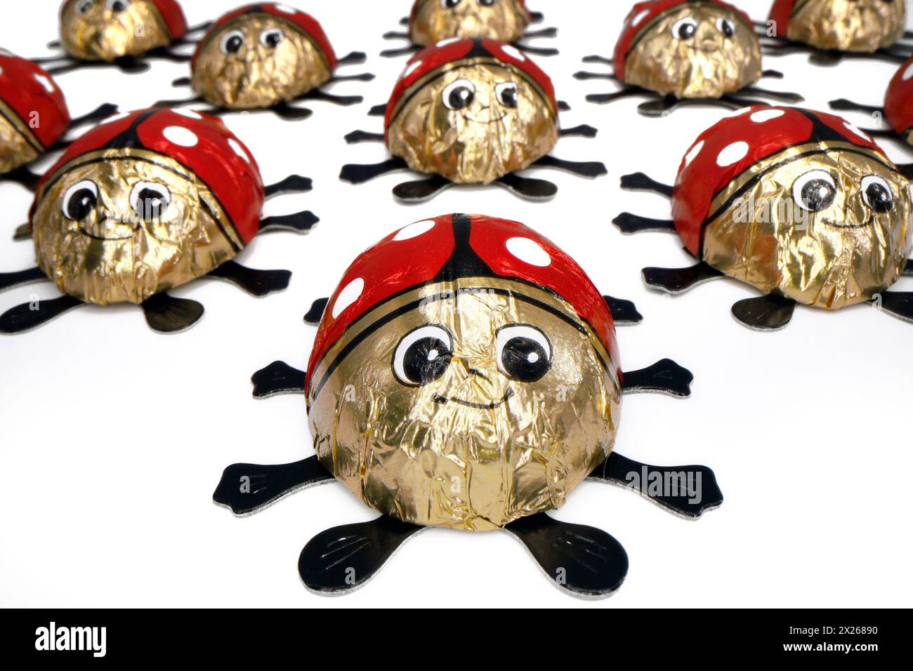 Ladybug chocolates or lucky beetles on a white background, many ...