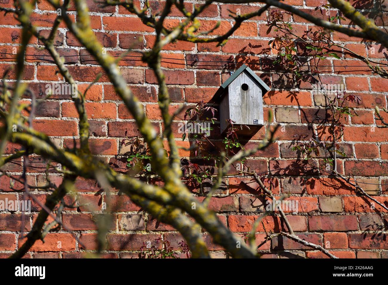 Tree house alnwick castle gardens hi-res stock photography and images ...