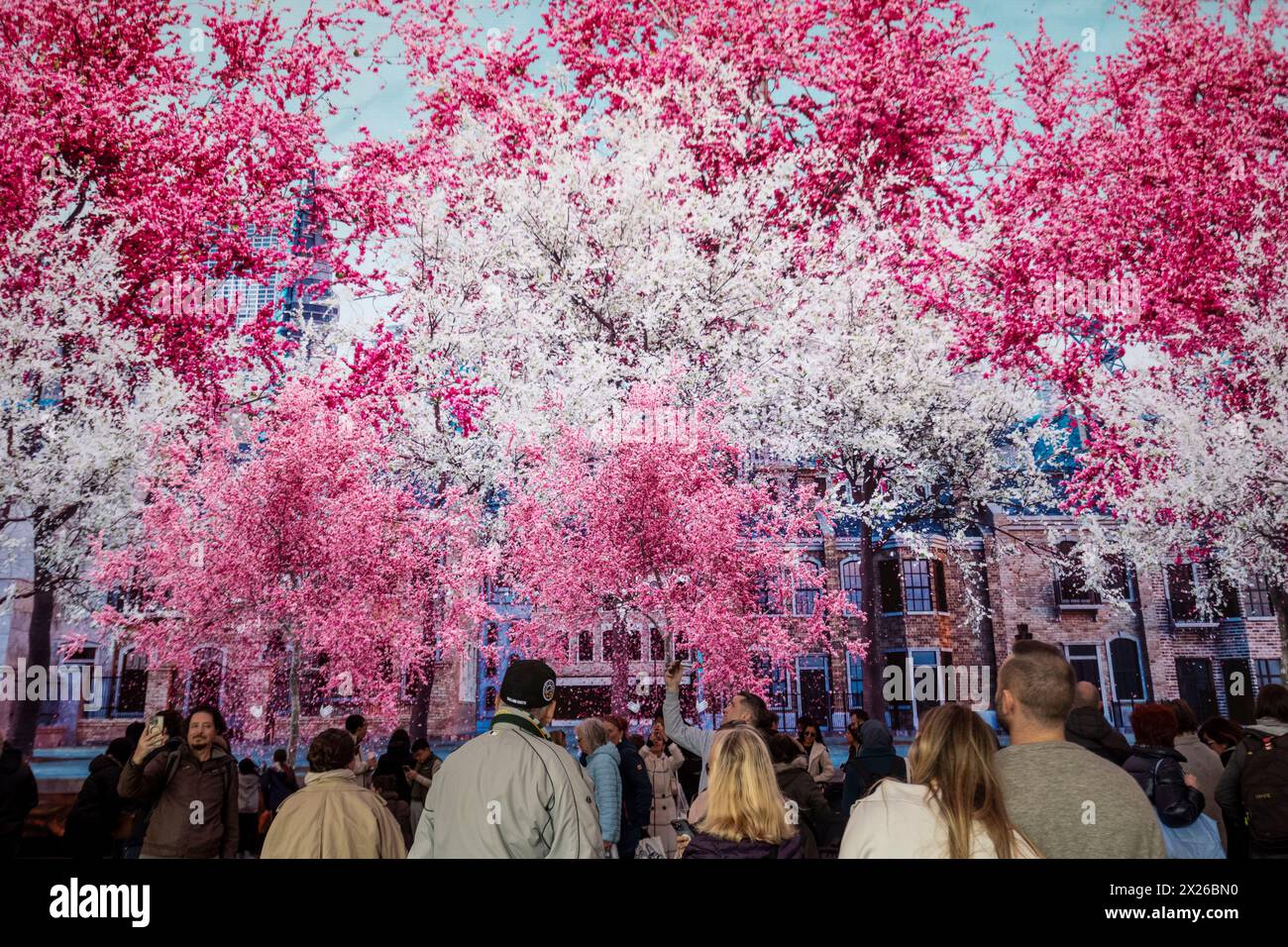 London, UK. 20 April 2024. The public watches digital screens ...