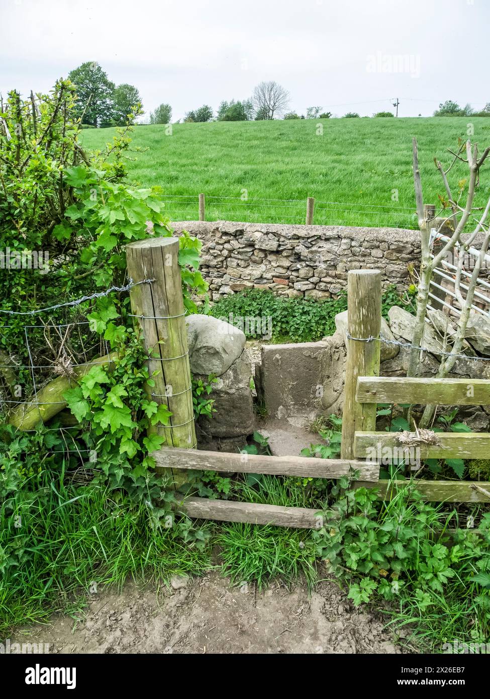 Example of a reasonably good stepped gap stile Stock Photo - Alamy