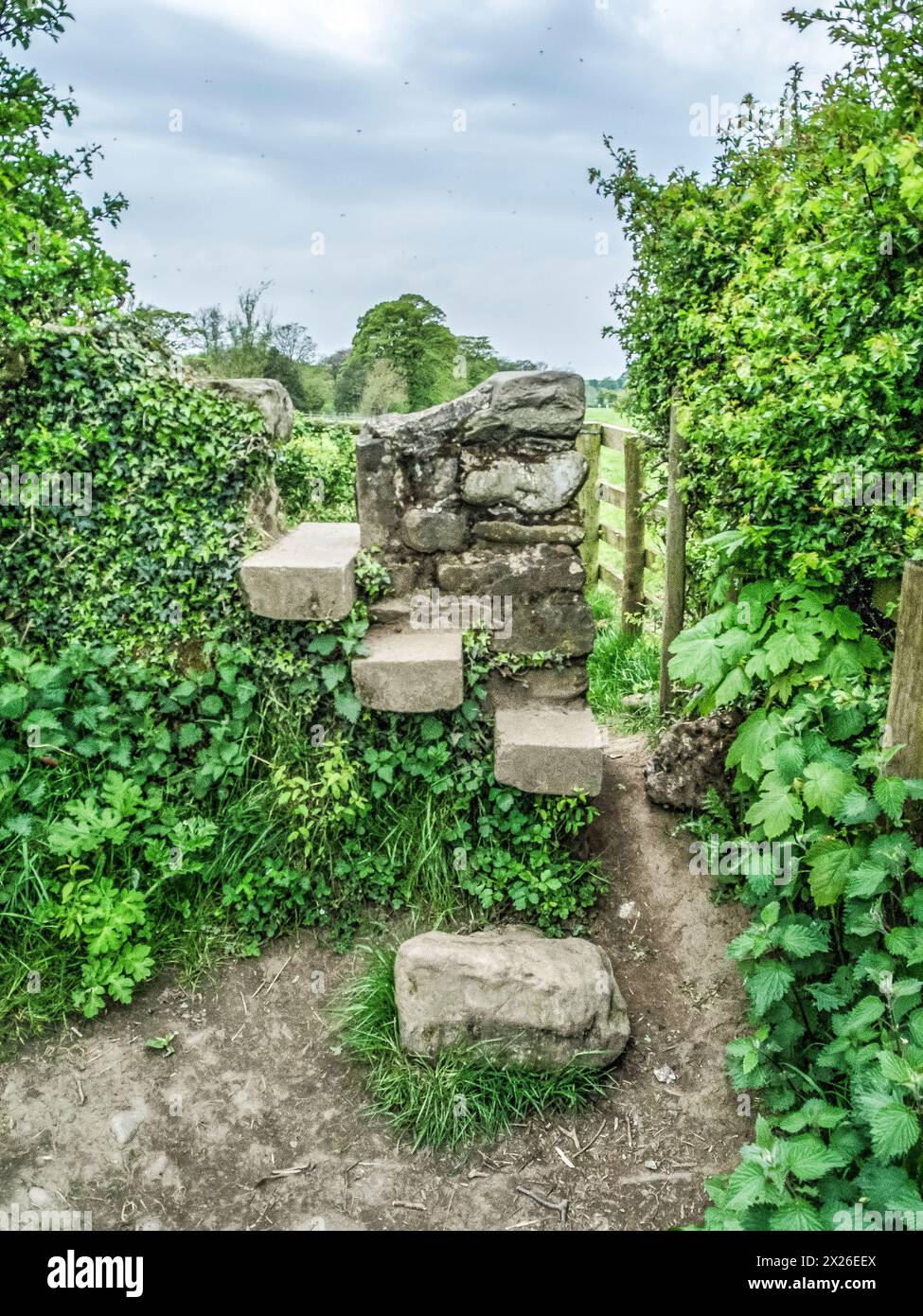 Countryside stepped wall stile hi-res stock photography and images - Alamy