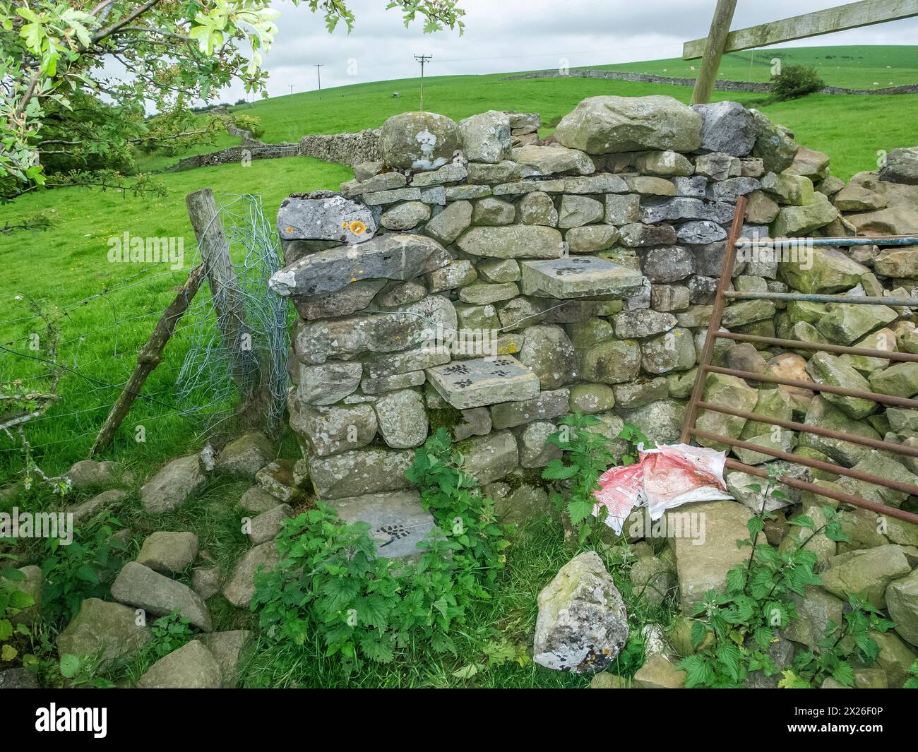 This is a reasonably good example of an old steeped wall stile but why ...