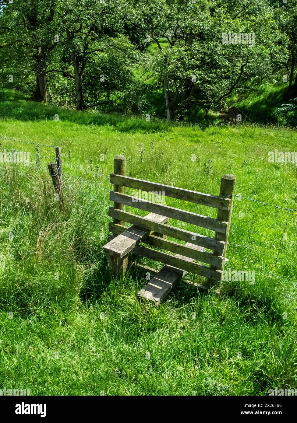 The image is of an open countryside fence step stile. these are fine as ...