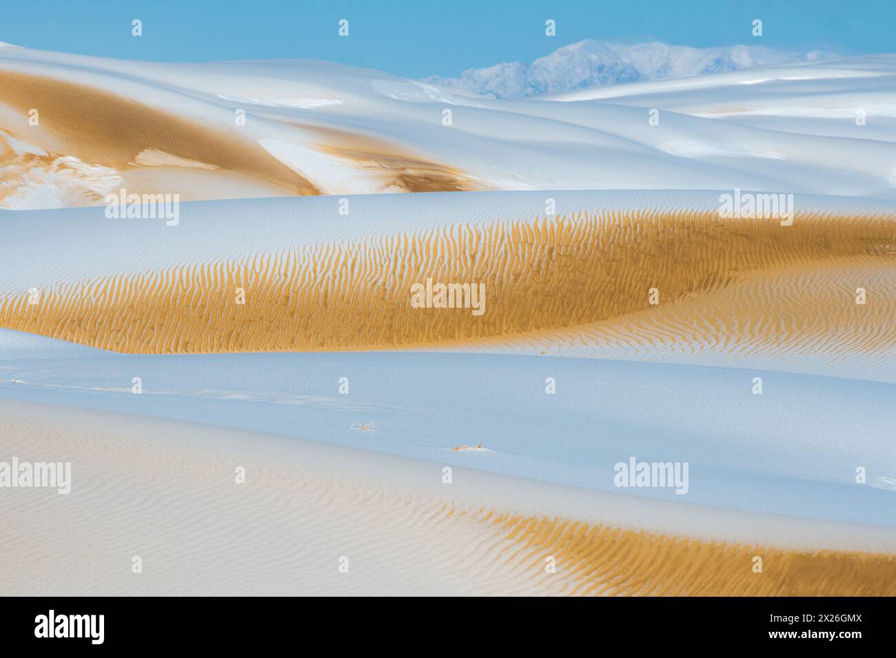 Snow Rhyme Yellow Sand Stock Photo - Alamy