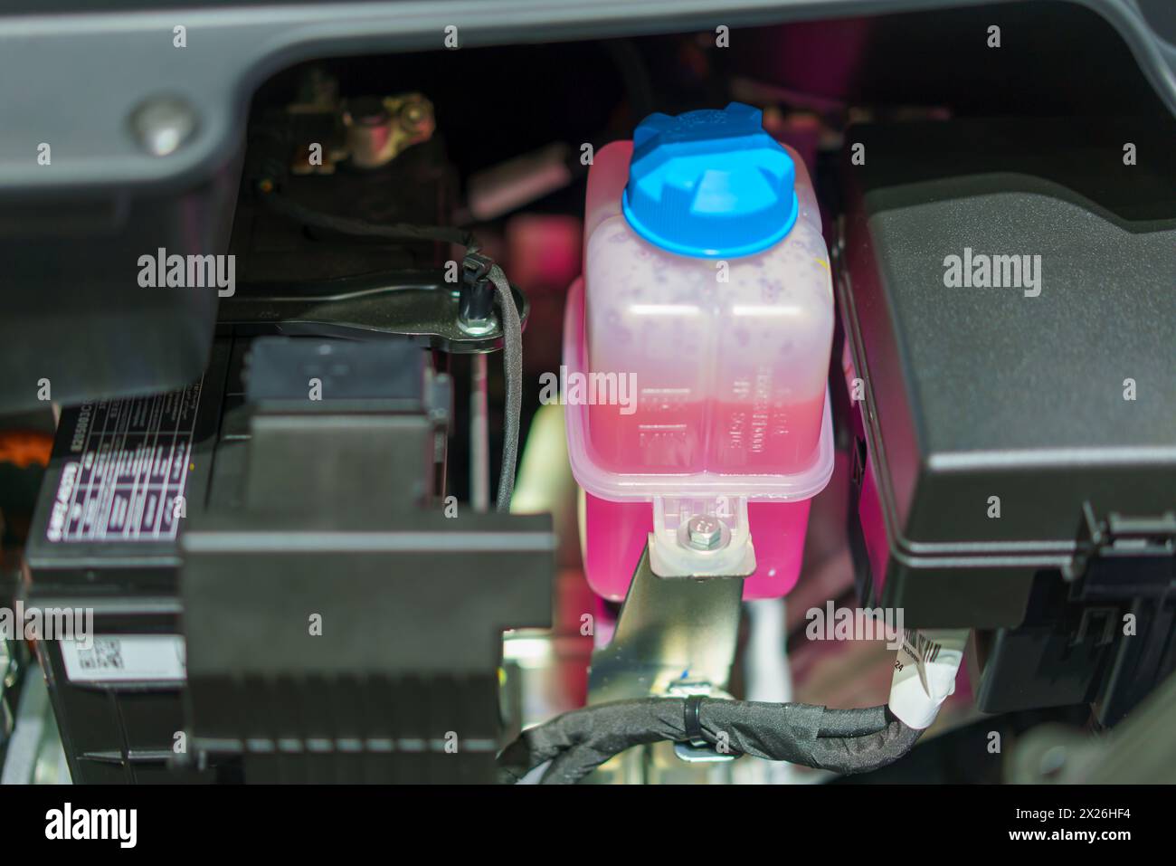 close-up of the coolant tank containing vibrant pink antifreeze. This ...