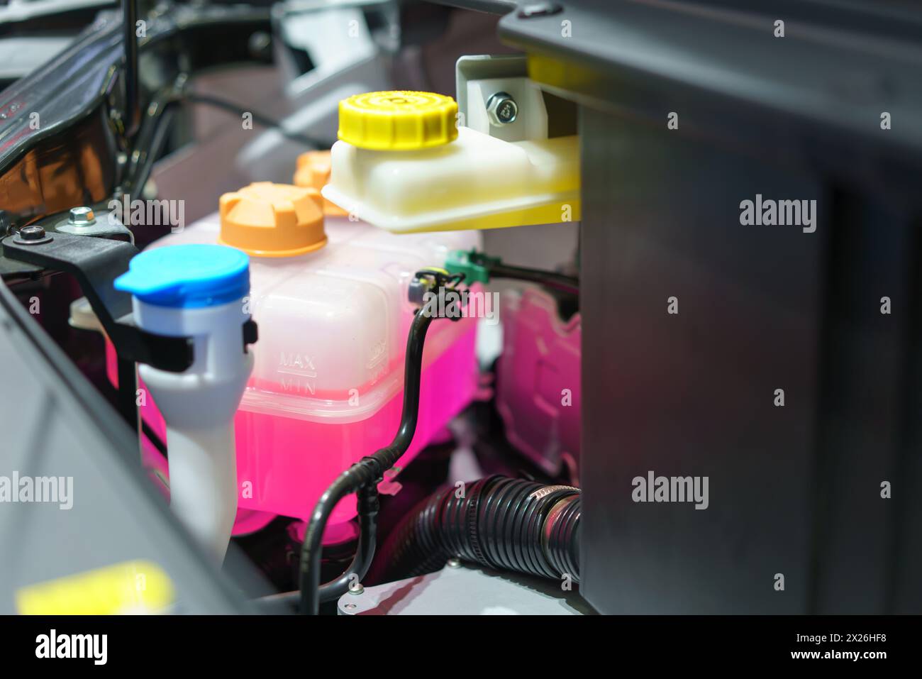close-up of the coolant tank containing vibrant pink antifreeze. This ...