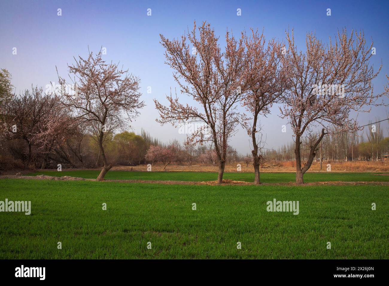 Plateau and landforms hi-res stock photography and images - Alamy