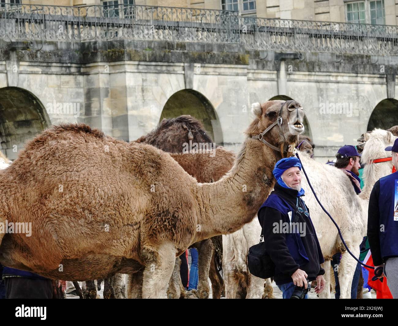 Grand paris organization hi-res stock photography and images - Alamy