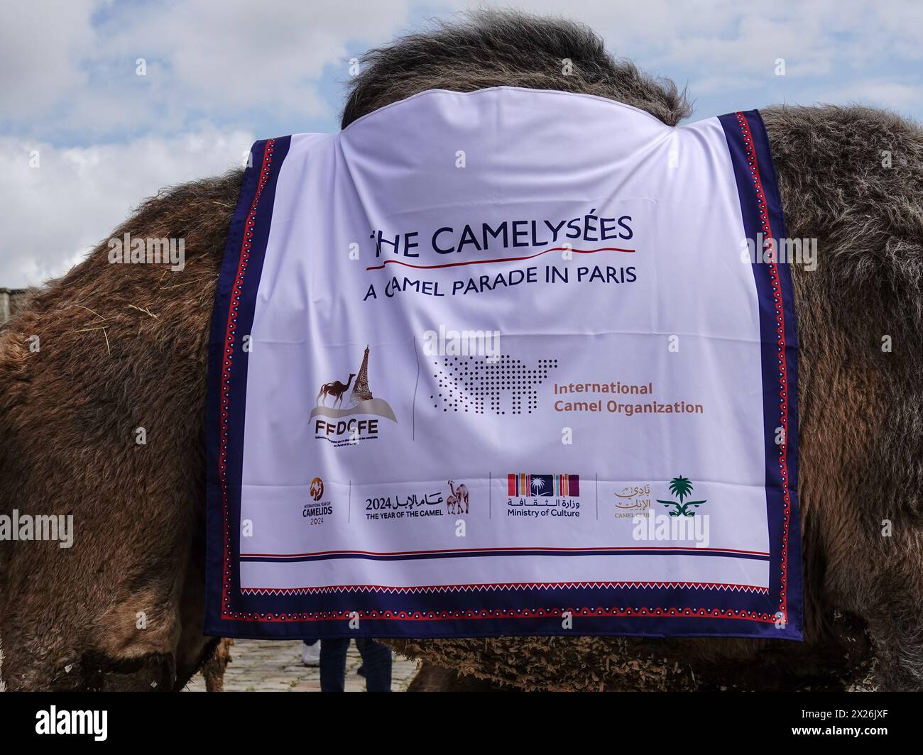 Paris, France, Europe, 20 April, 2024: Camel Parade Paris. A crowd of ...