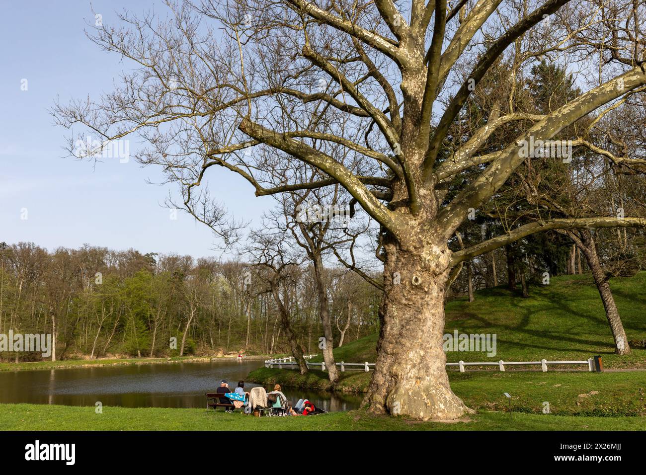 Karolyi palace hi-res stock photography and images - Alamy
