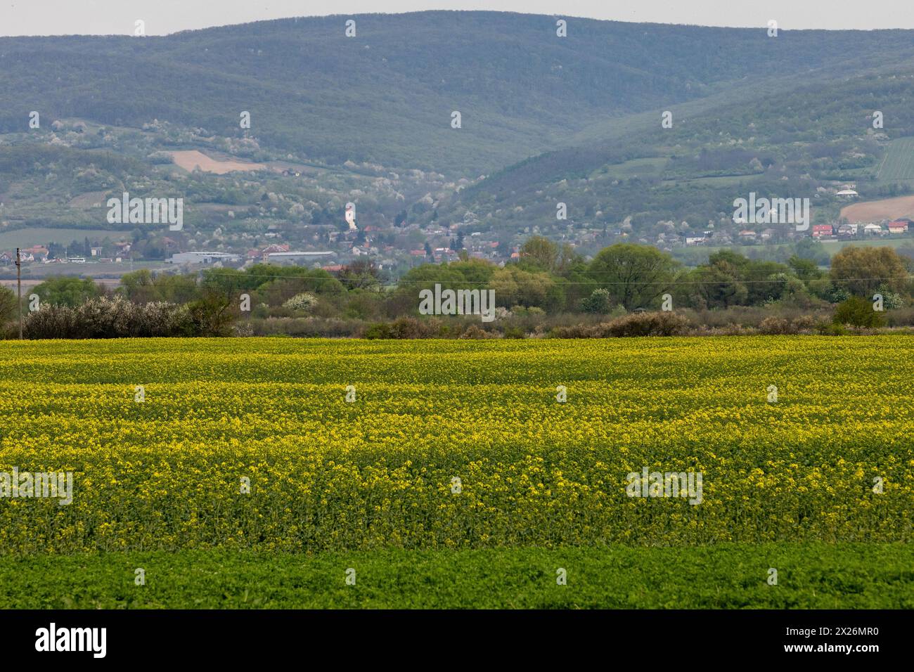 Szephalom, Hungary. 6th April, 2024. Slovakia is viewed across ...