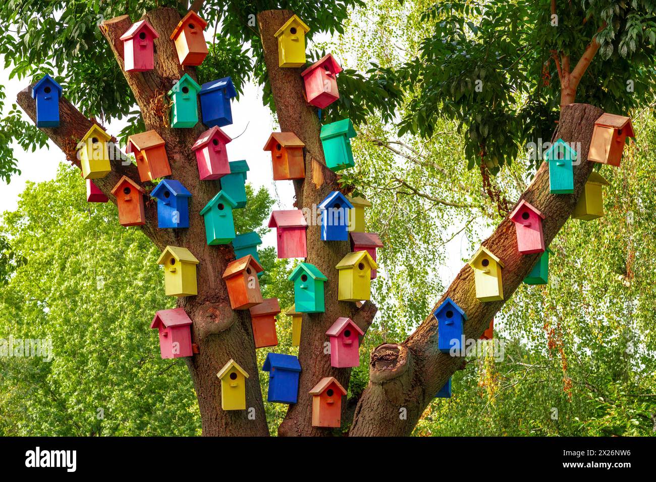 Multicolored Birdhouses.Colored nesting box. Colorful Bird Houses ...