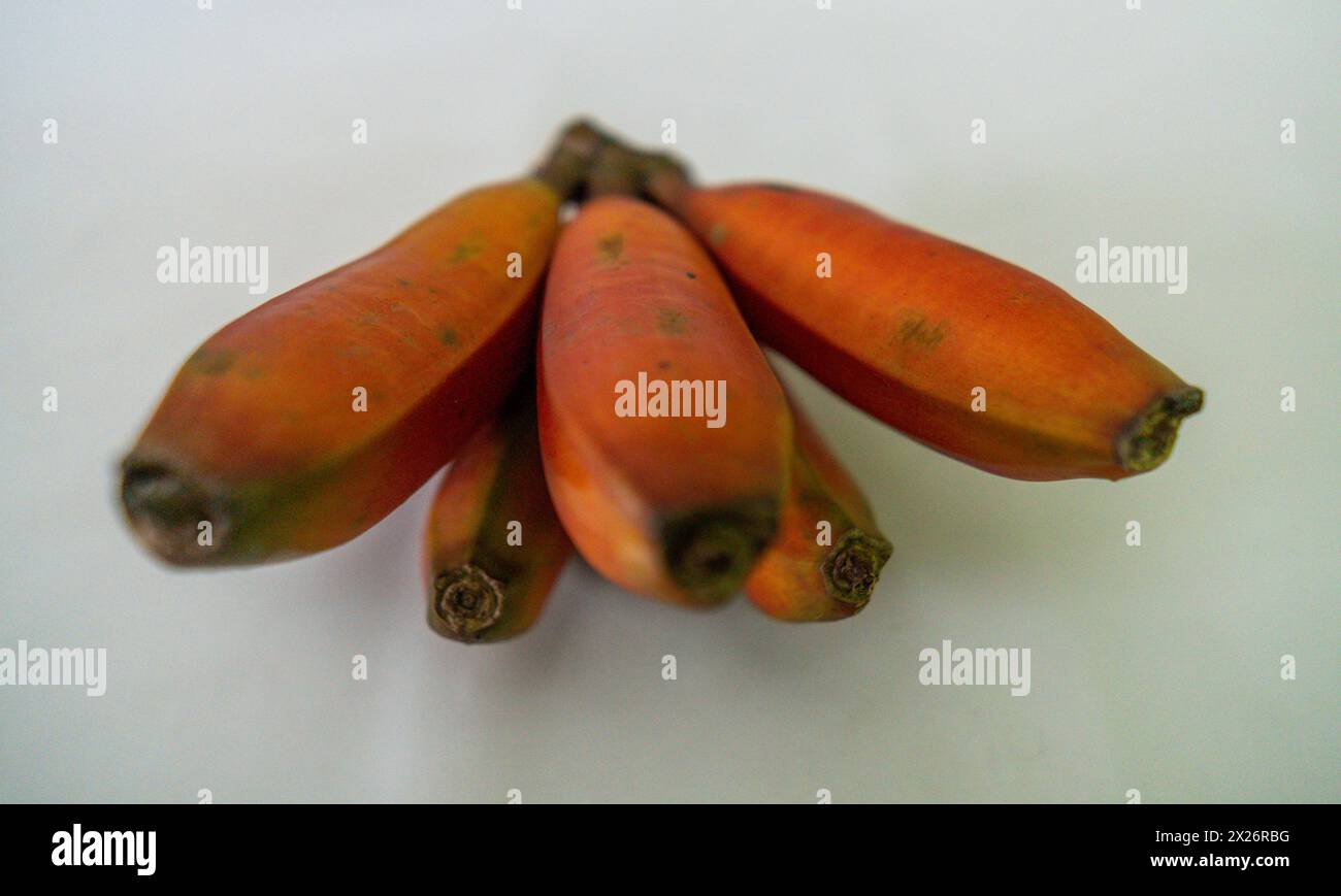 Musa sapientum var rubra hi-res stock photography and images - Alamy