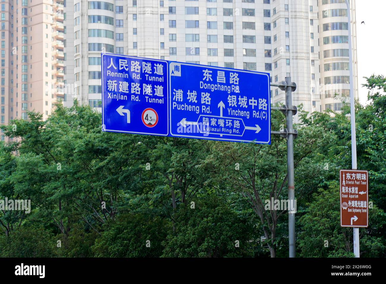 Shanghai, People's Republic of China, Traffic signs in front of a tree ...