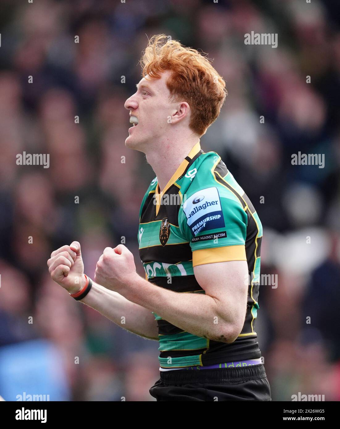 Northampton Saints' George Hendy celebrates after scoring a try during ...