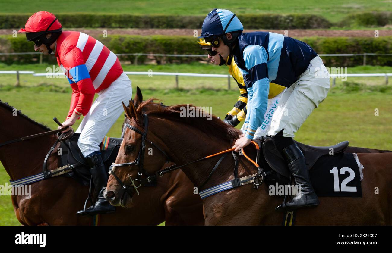 Lady jockey horse point point hi-res stock photography and images - Alamy