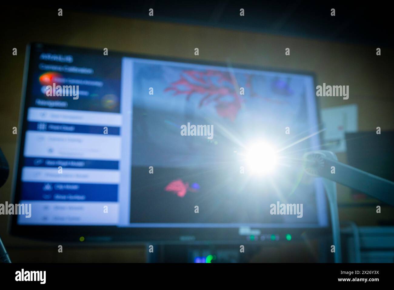 Clinical AI Day at the Dresden University Hospital, Dresden, Saxony ...