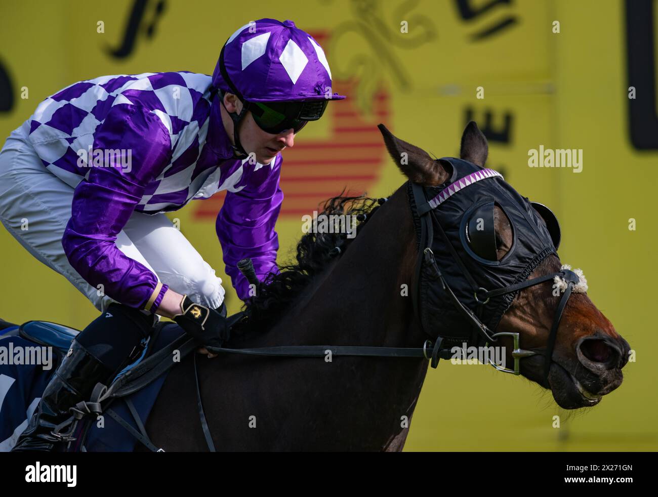 Julie camacho trainer hi-res stock photography and images - Alamy