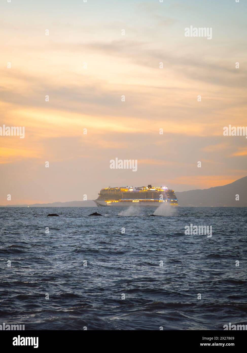 Four whales spray as they breach and splash as cruise ship leaves port ...