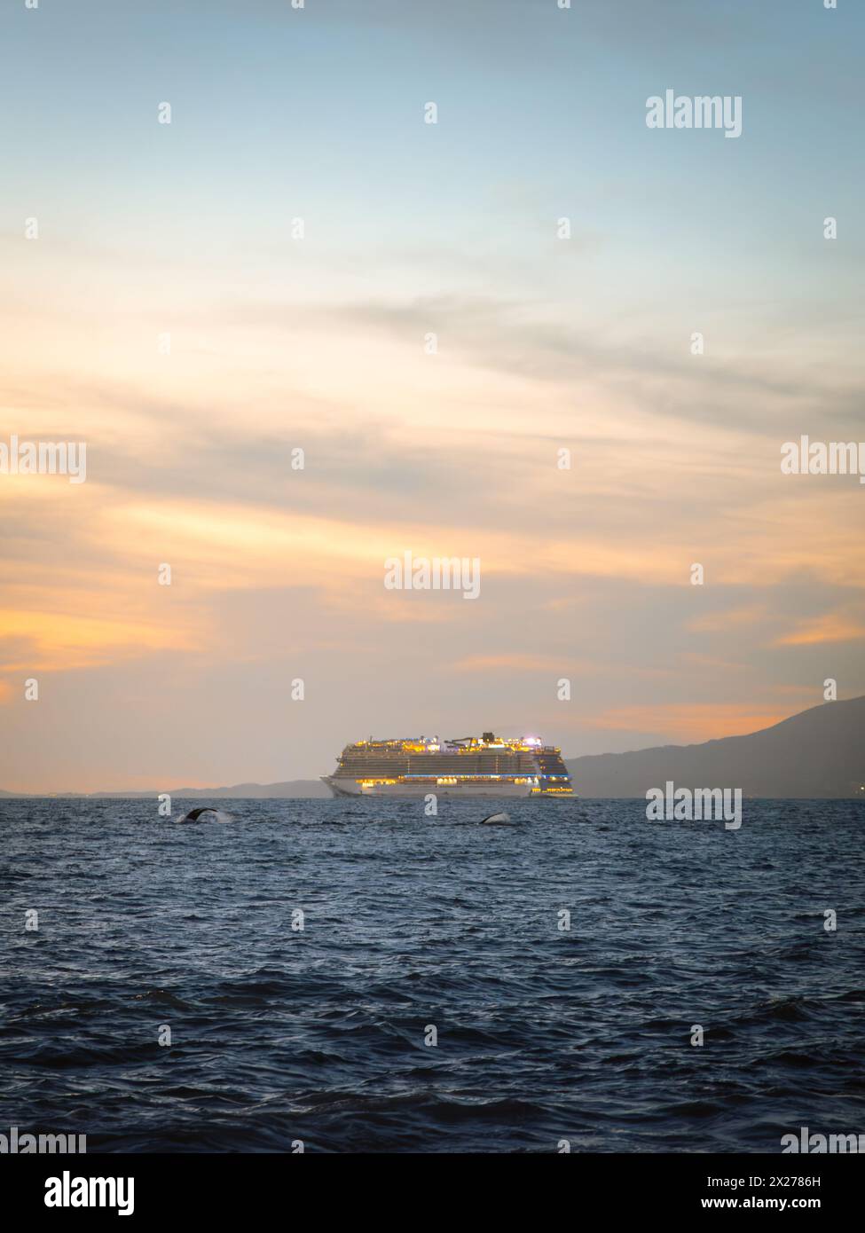 Four whales show tails as they breach and splash as cruise ship leaves ...