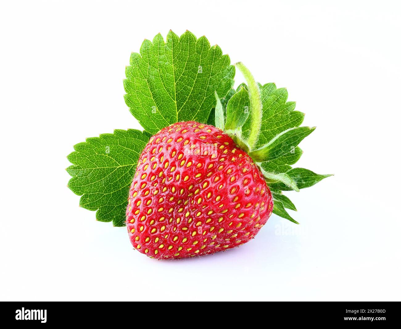 strawberry isolated white background Stock Photo - Alamy