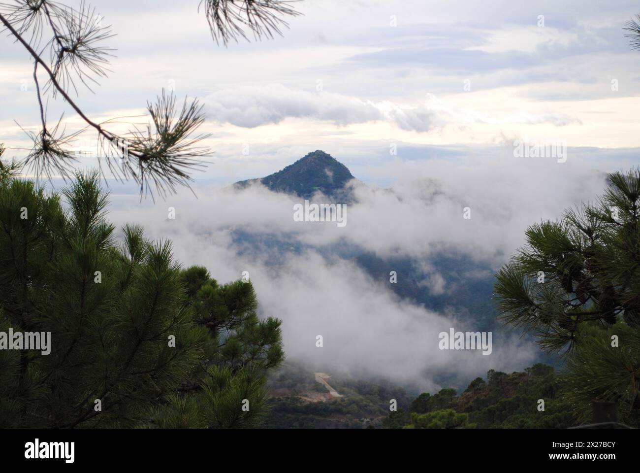 On the road to Ernest Hemingway's Ronda in the mountains of Andalusia ...
