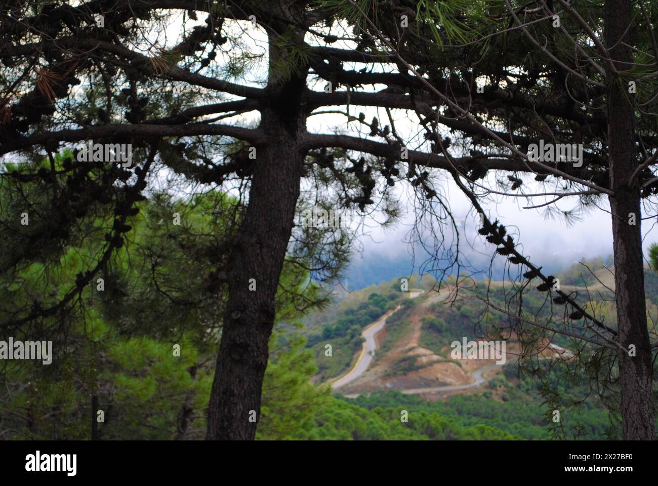 On the road to Ernest Hemingway's Ronda in the mountains of Andalucia ...