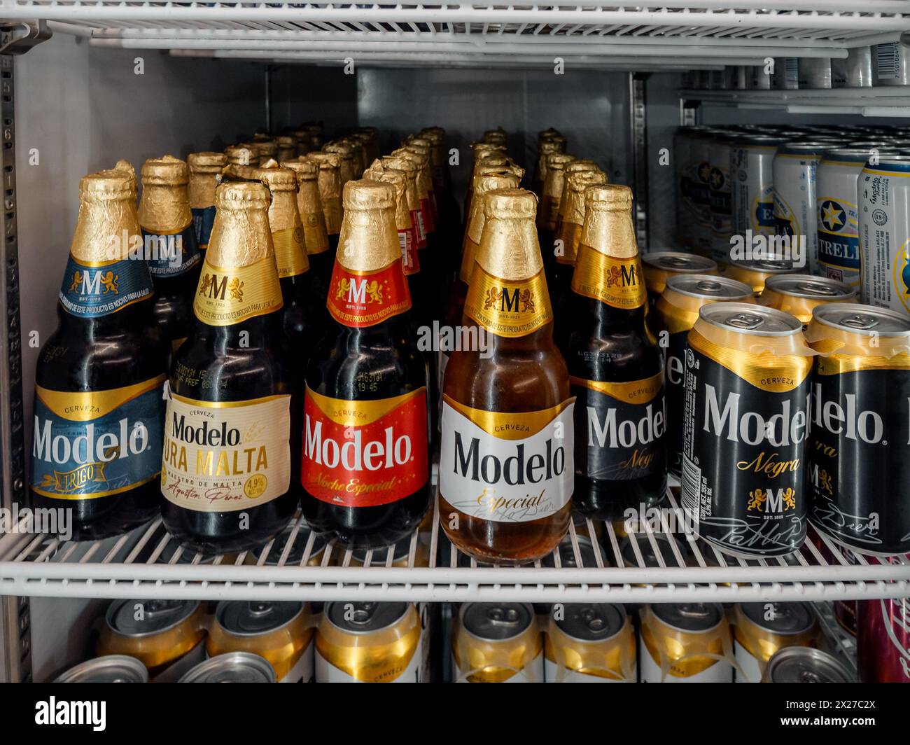 Six different styles of Modelo beer in a cold refrigerated display ...