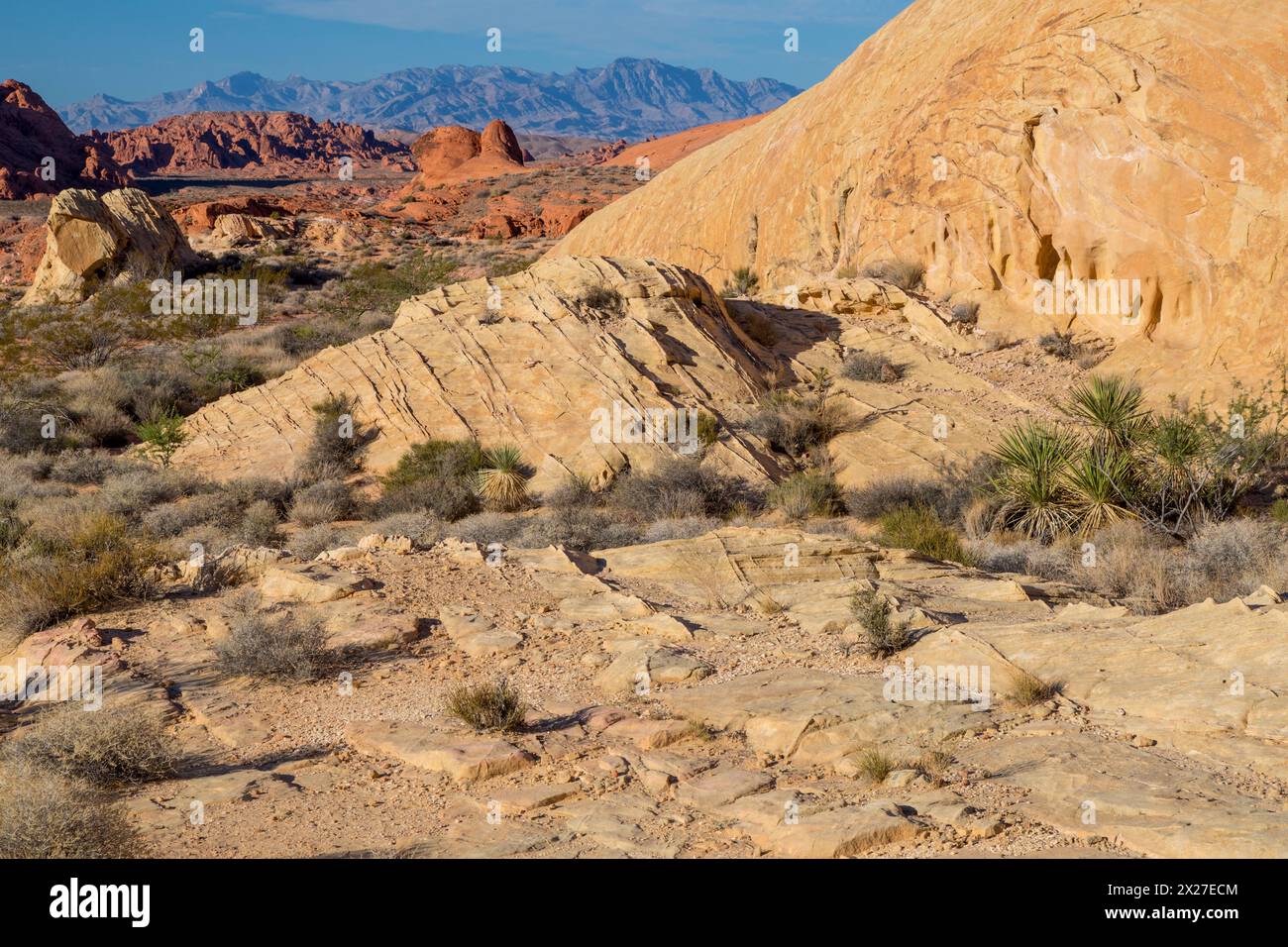 Valley of Fire, Nevada. Scenic View along White Domes Trail Stock Photo ...