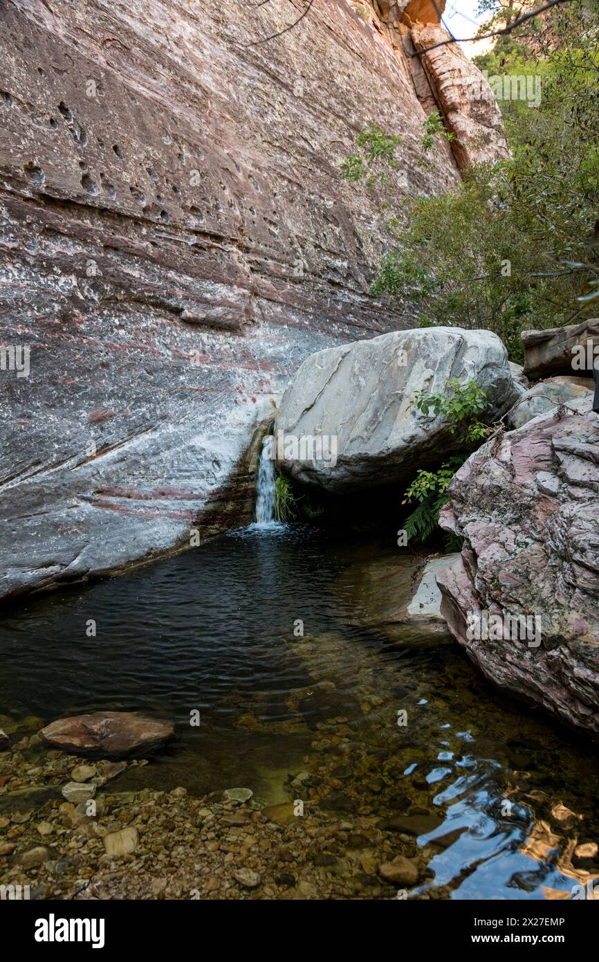 Red Rock Canyon, Nevada. Pine Creek Canyon Stream Stock Photo - Alamy