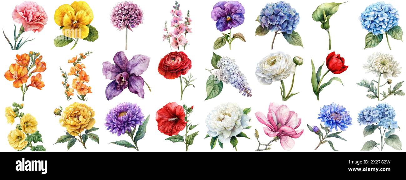 Watercolor flower set isolated background. Various floral collection of ...