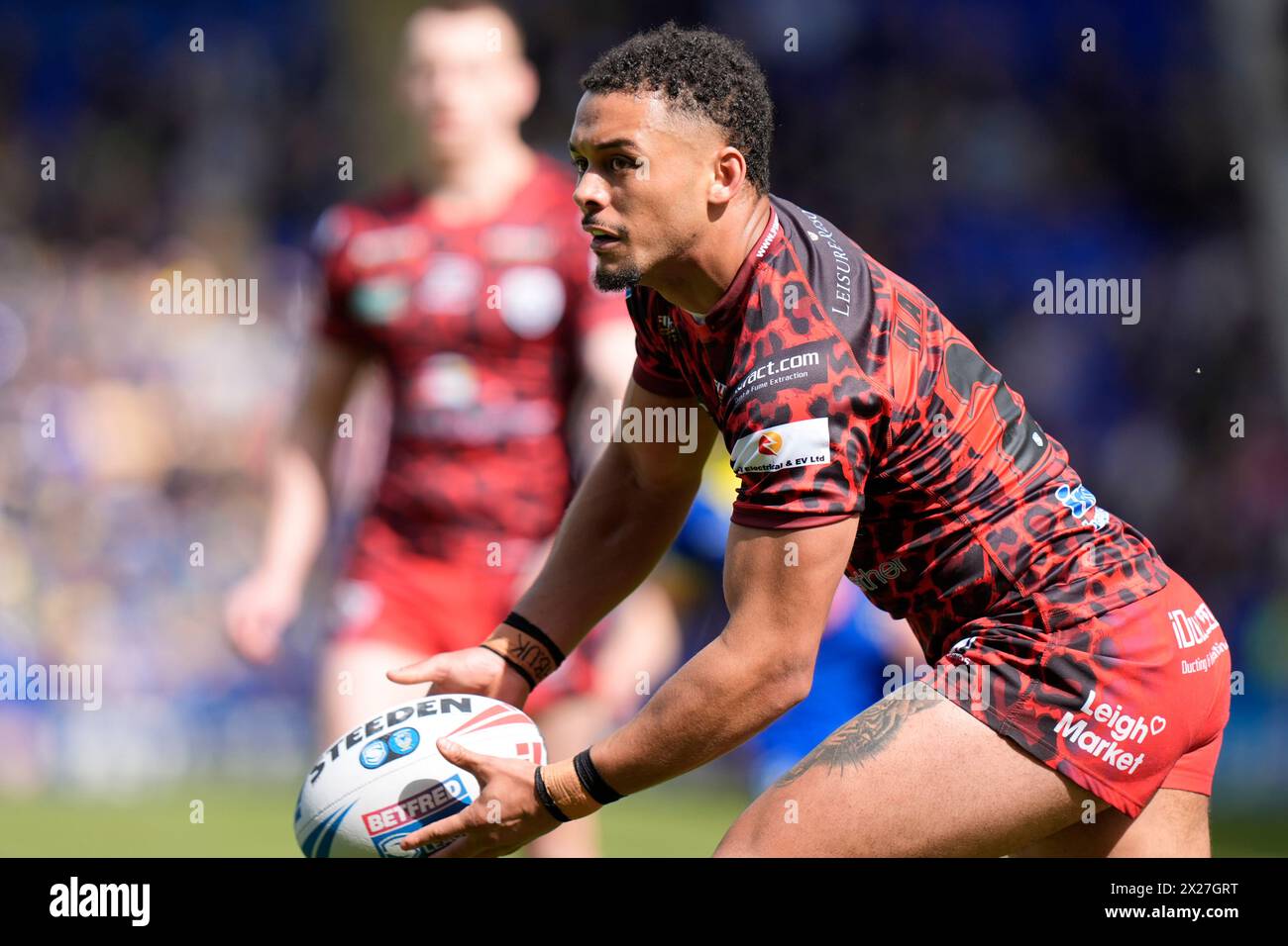 Umyla hanley leigh leopards hi-res stock photography and images - Alamy