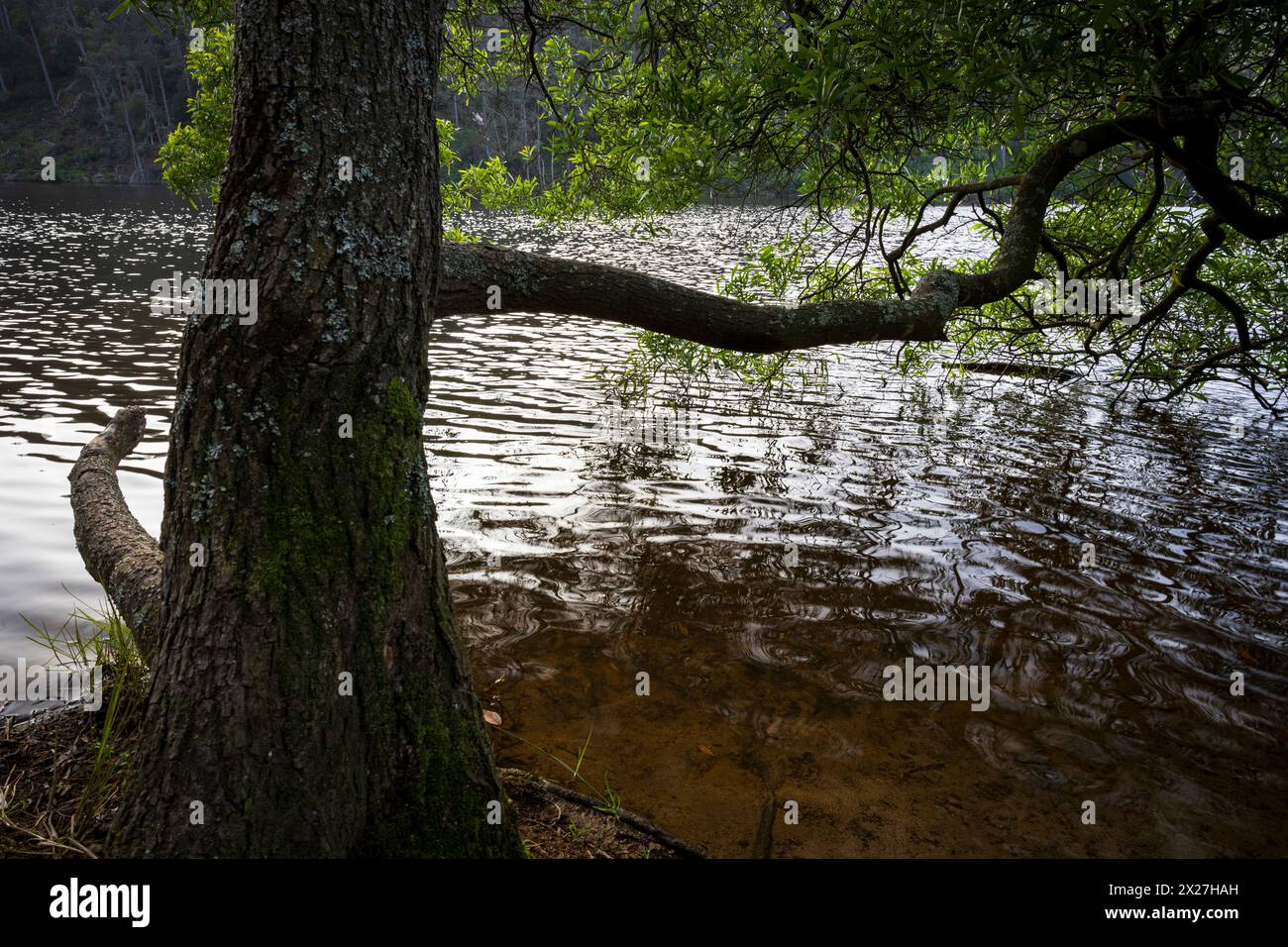 Sintra Cascais Natural Park, Portugal - 21 February 2023 : Mula river ...