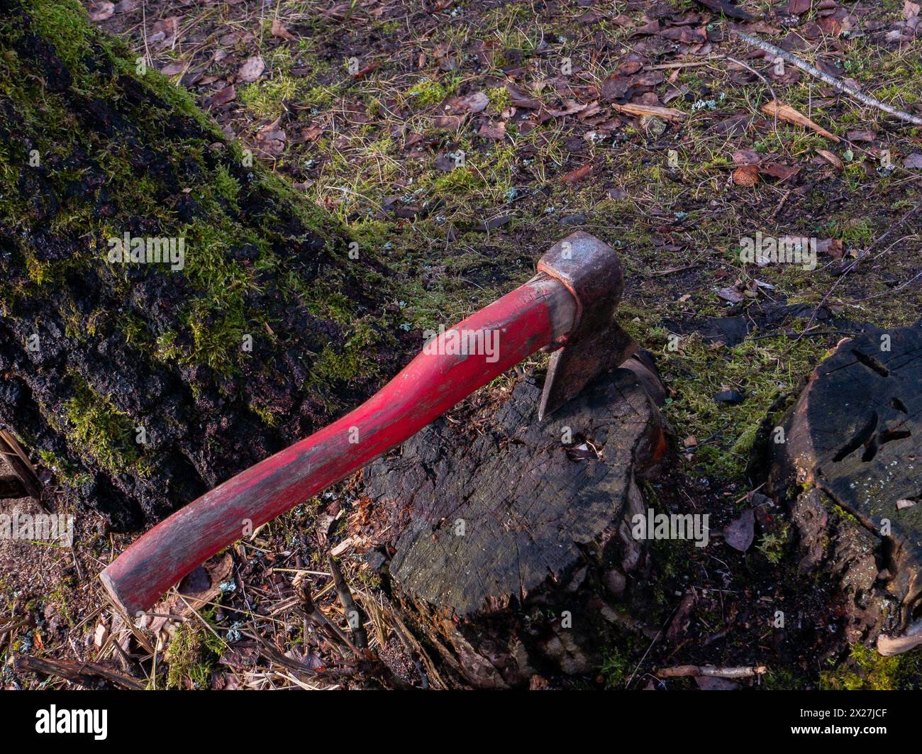 Axe in tree stump. An old red axe with a red handle stuck in a stump ...