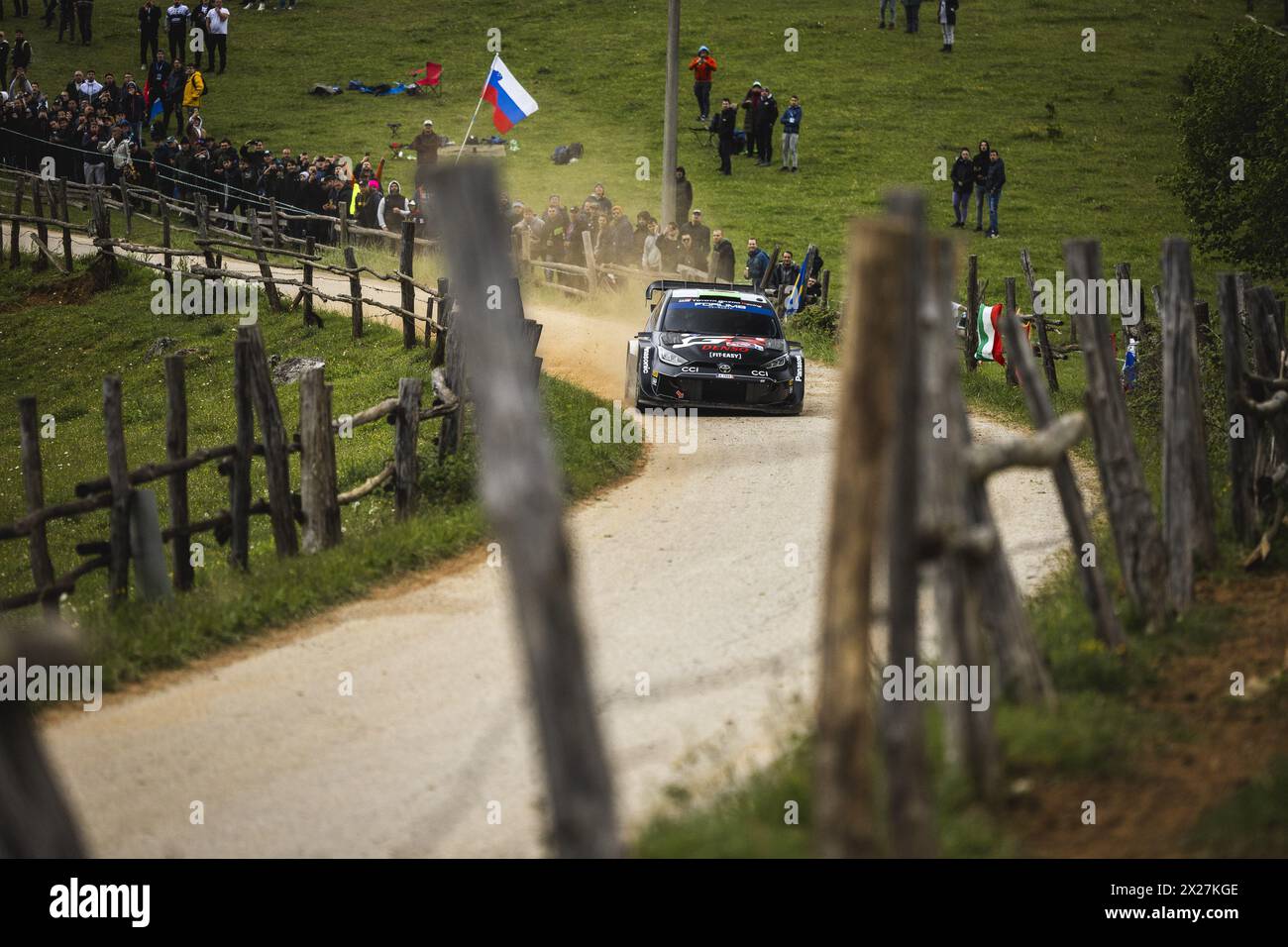 33 EVANS Elfyn, MARTIN Scott, Toyota GR Yaris Rally1, action during the ...