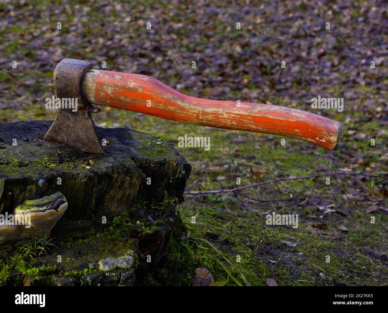 An old red axe with a red handle stuck in a stump Stock Photo - Alamy
