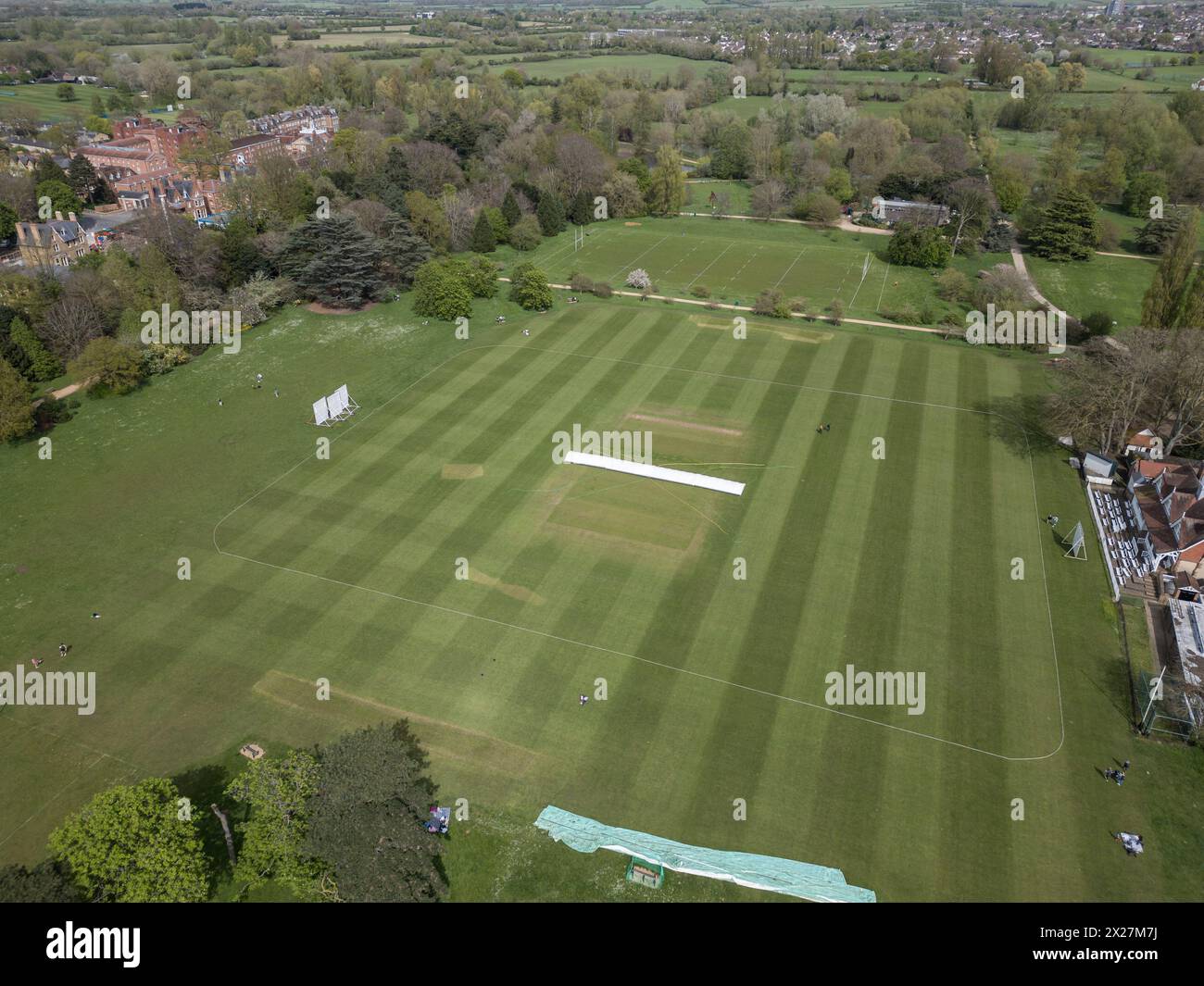 Cricket pitch in University Parks, Oxford, UK Stock Photo - Alamy